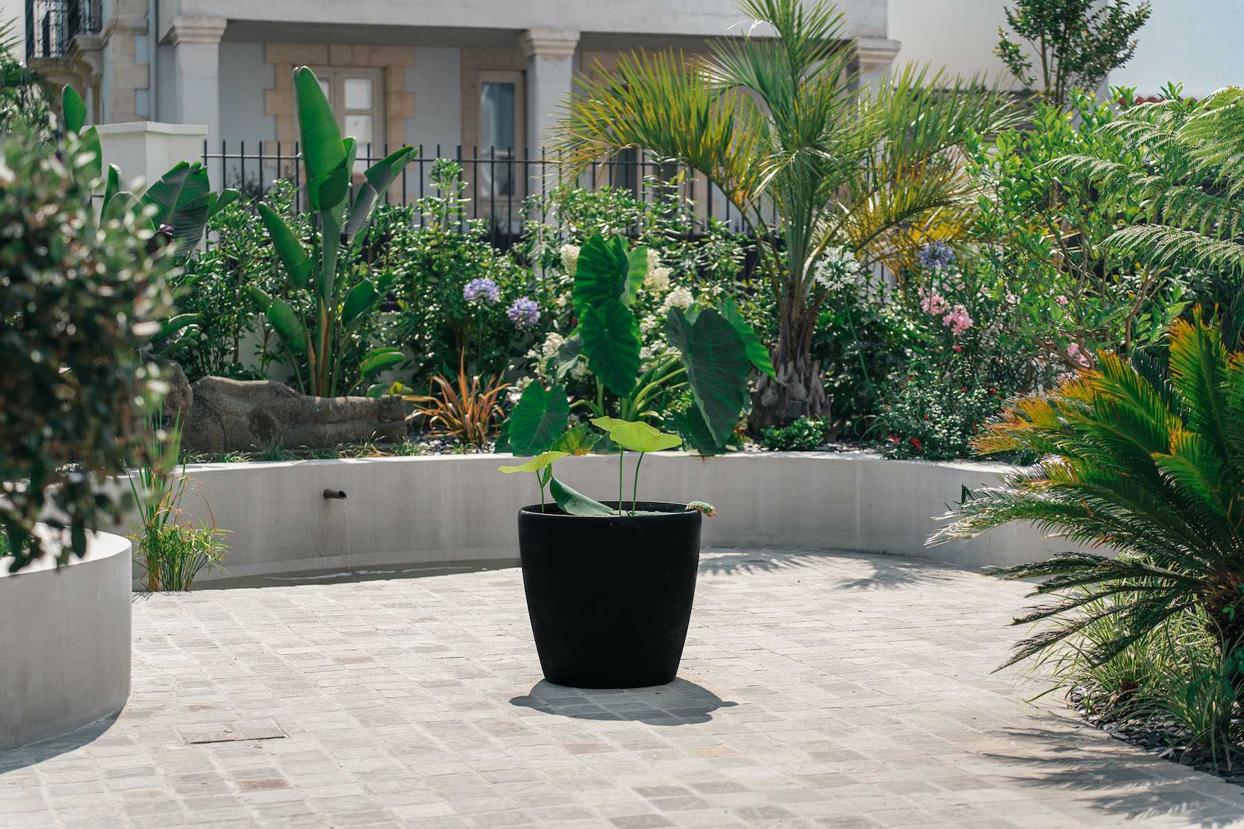 Landscaping around a villa with a swimming pool