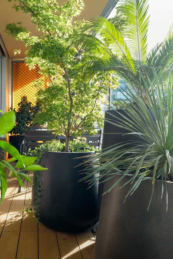 Optimisation of a small terrace by offering plants area